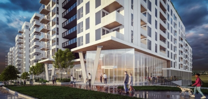 Spring Willow | Truman